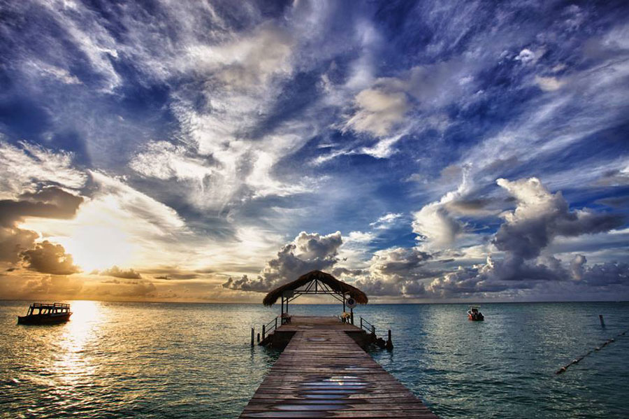 A Carnival of Wildlife Trinidad & Tobago wildlife holiday | Latin ...